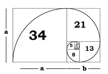 Go Figure!: Fibonacci Numbers and The Golden Ratio