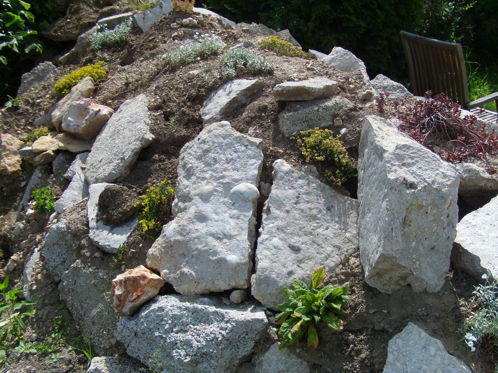 Porva Inn - GreenValley Estate : rotstuin