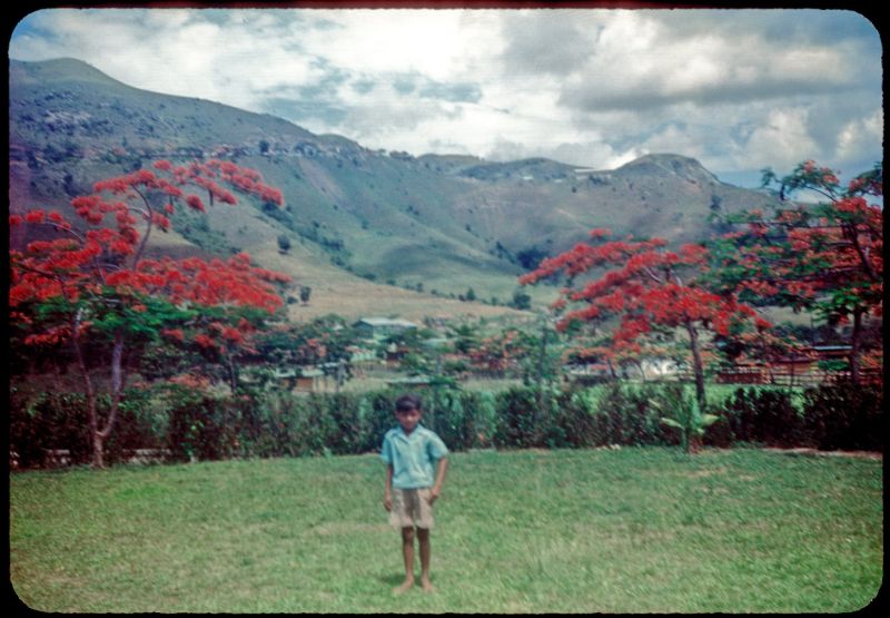 Everyday Life of Puerto Rico in the Mid-1940s Through Amazing Color ...
