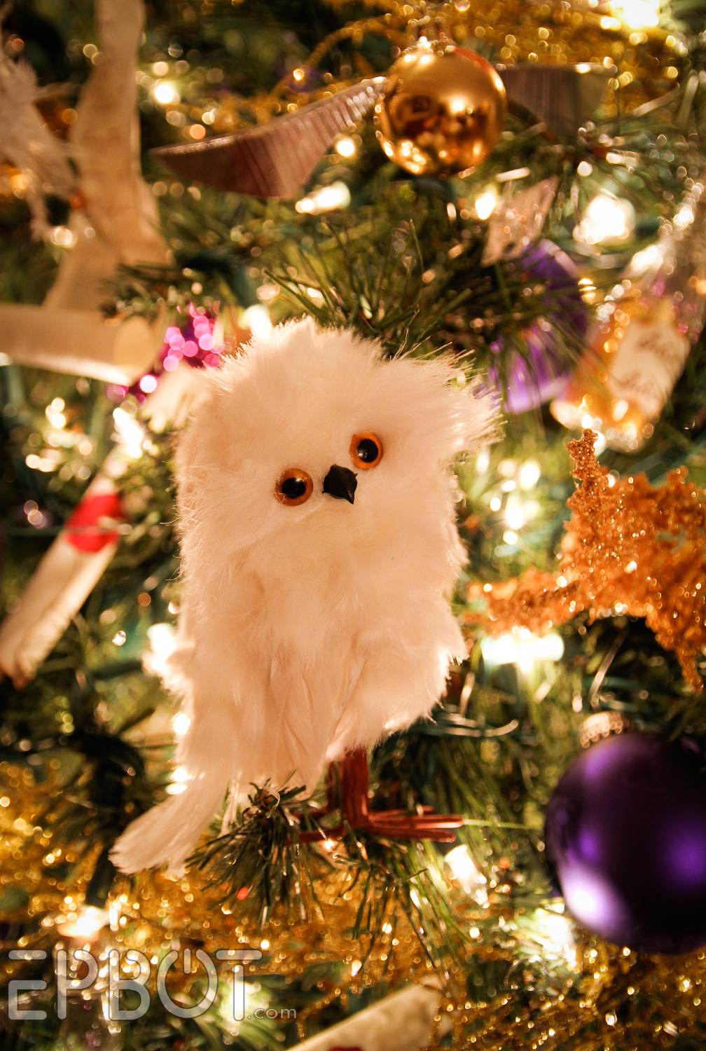 EPBOT: Our Harry Potter Tree 2015