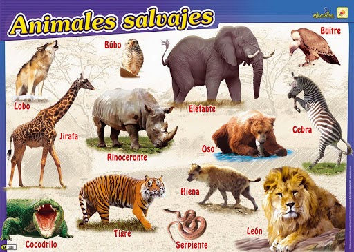 APRENDE CONMIGO: Animales salvajes