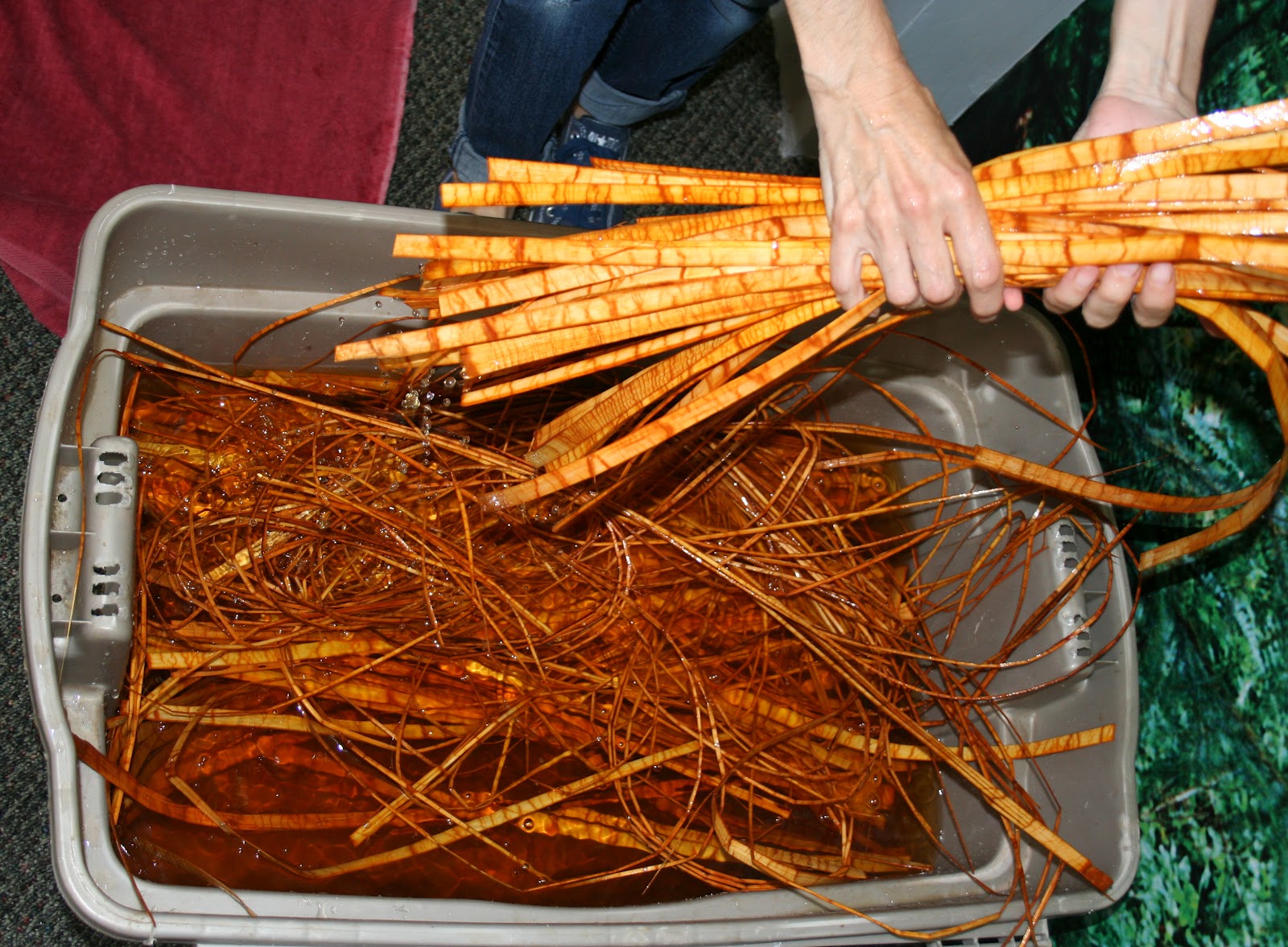 Sunshine Coast Museum & Archives