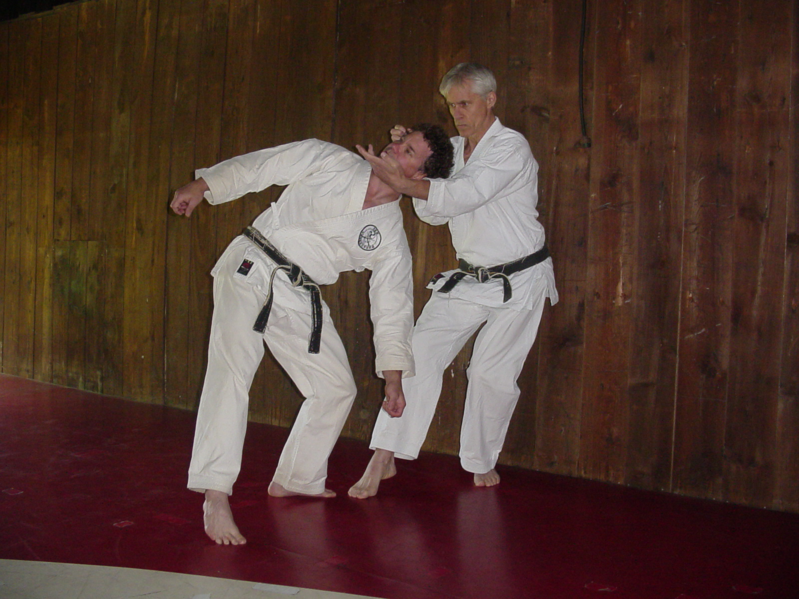 Goju-Ryu Karate-do: What's wrong with this bunkai?