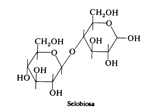 Disakarida: Maltosa dan Selobiosa Diturunkan dari Hidrolisis Pati dan ...