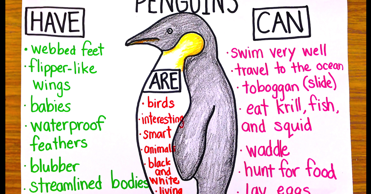 The Creative Colorful Classroom: Penguins Penguins Penguins!!