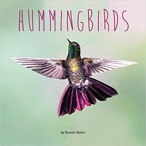 100 Days of Science #79-- Learning About Hummingbirds