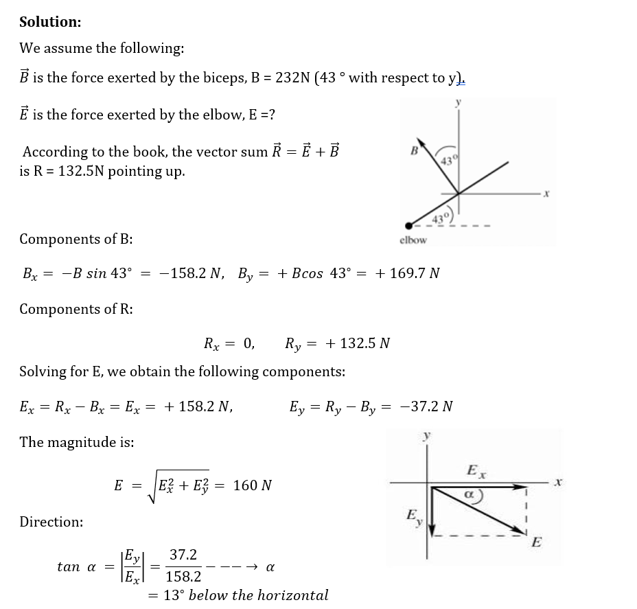81. Bones and Muscles A patient in therapy has a forearm that weighs 20 ...