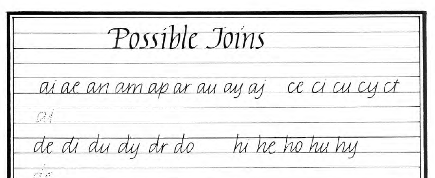 Homestead Bounty Blessings: Perfect Reading, Beautiful Handwriting REVIEW