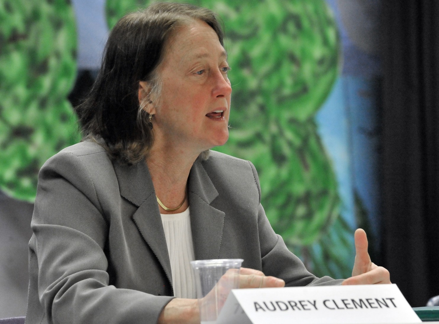 Arlington Yupette: Audrey Clement Considering School Board Run