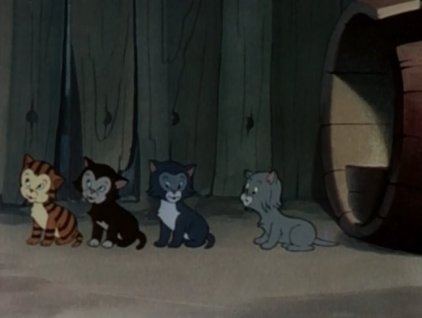 The Lost Continent: Animaland: The House Cat