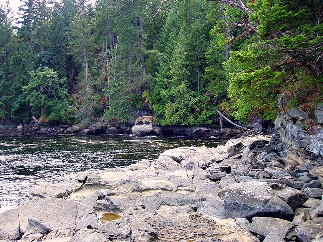 Everything Nanaimo: DODD NARROWS