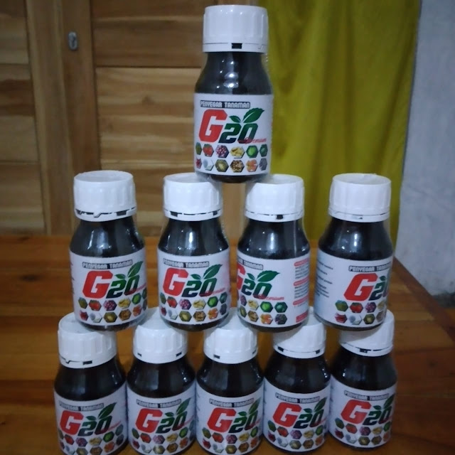 Pupuk Daun Terbaik - Pupuk Penyubur Tanaman