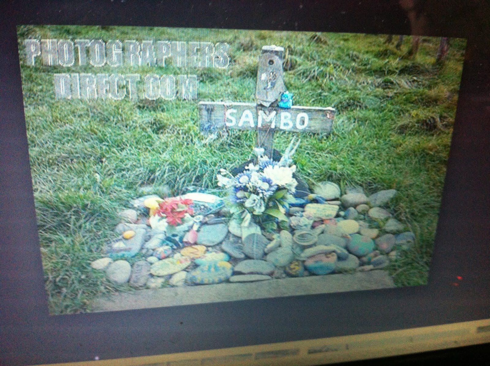 THE BLACK SOCIAL HISTORY:: BLACK SOCIAL HISTORY : SAMBO GRAVE IS THE ...