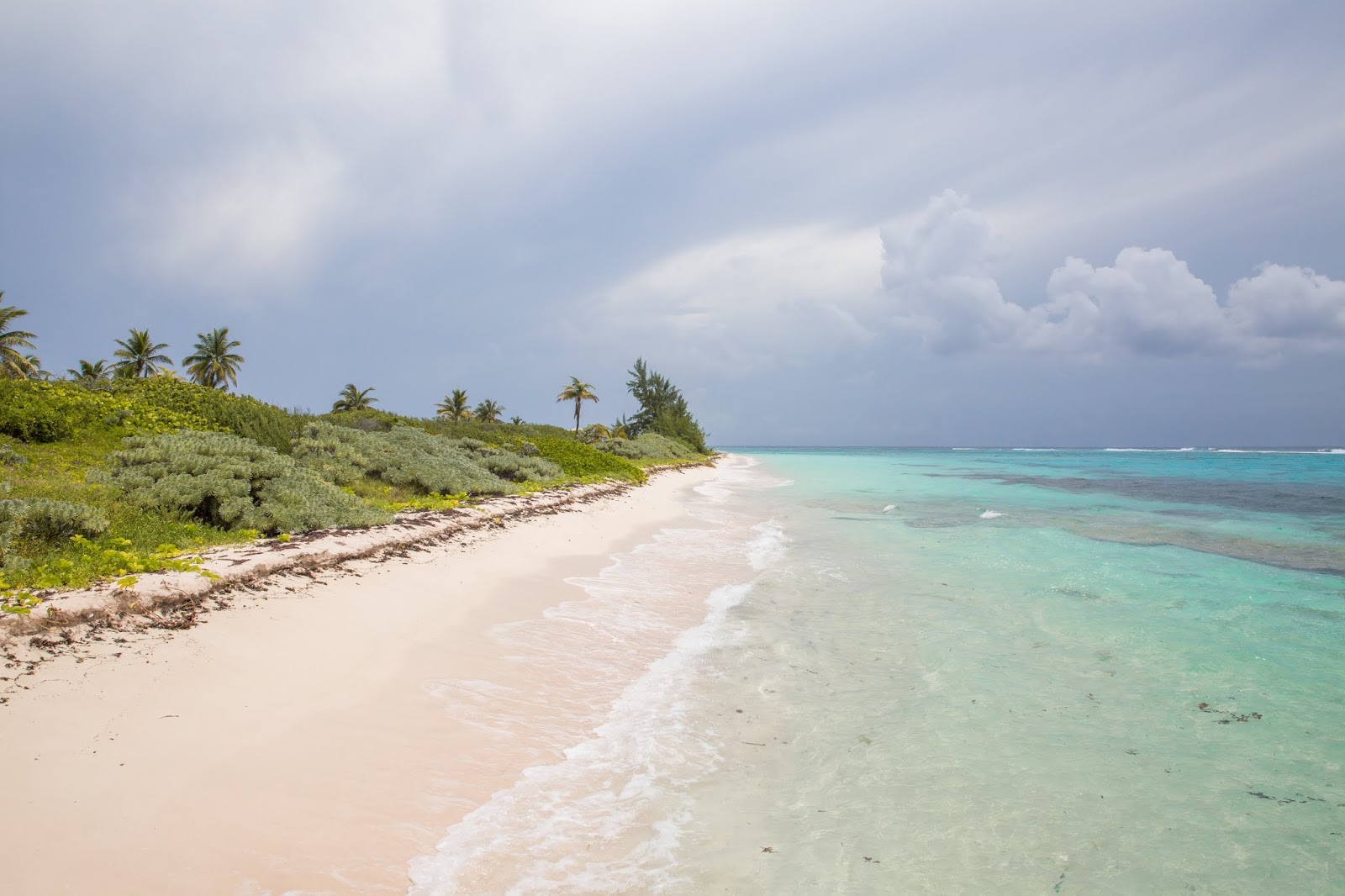 Alice Gostick: Things to do in Grand Cayman - Visit Little Cayman