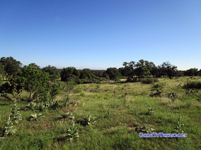 Gone To Texas: Alfred Wilhelm Kensing & Family