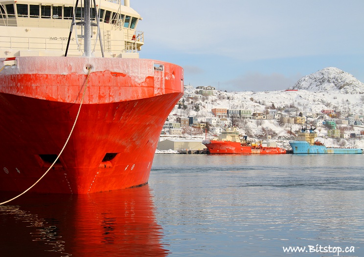Bitstop: Atlantic Raven