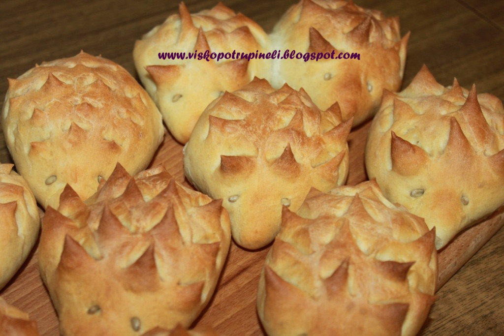 Visko po trupinėlį: Batoniukai ežiukai