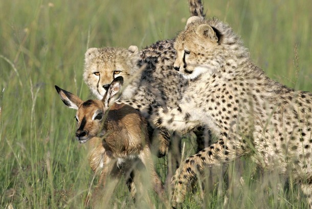 el blog de arcicarmen