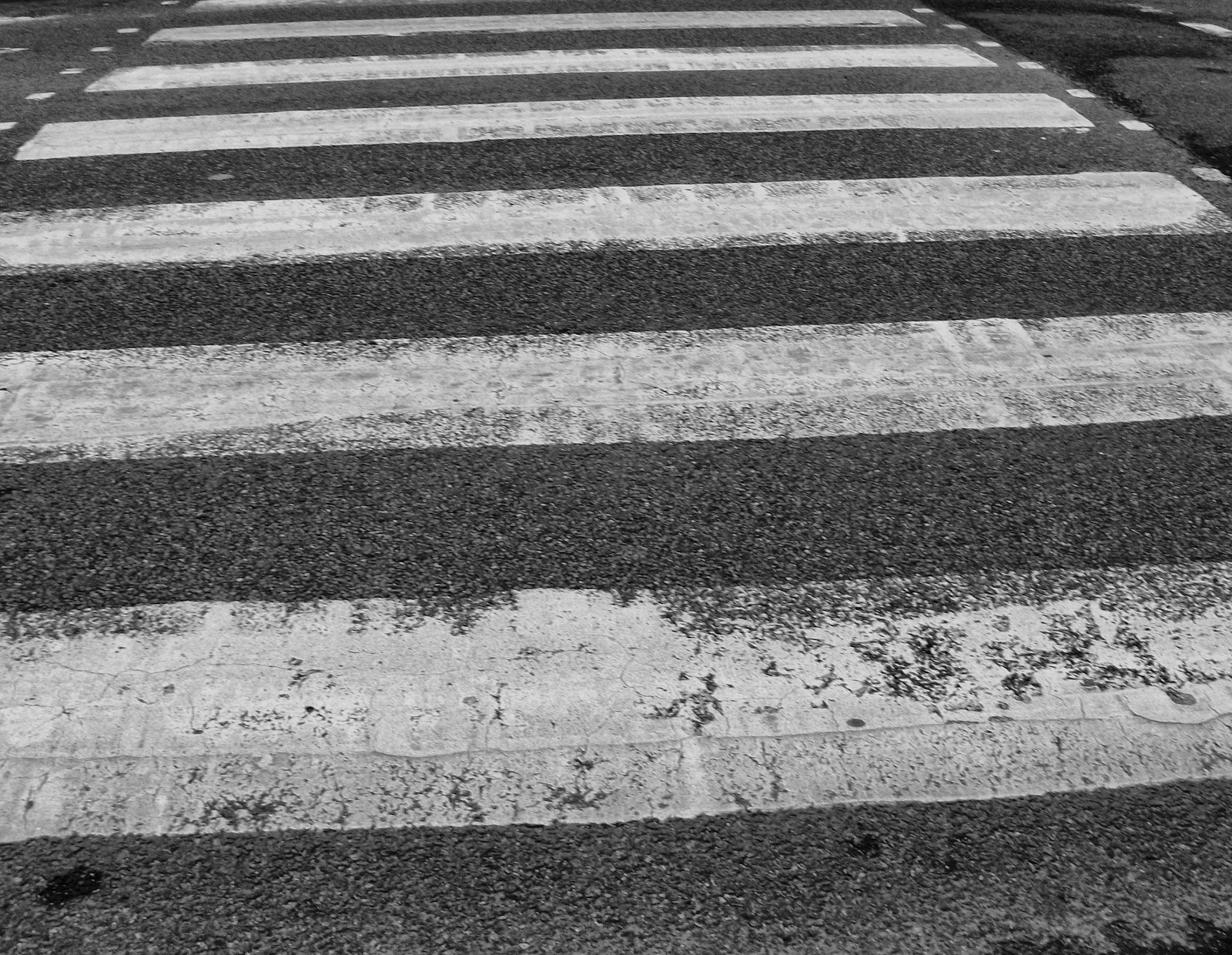 Andrew Lucas Photography