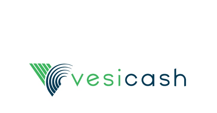 Vesicash Raises US$100,000 in Pre-seed Funding from Ingressive Capital ...