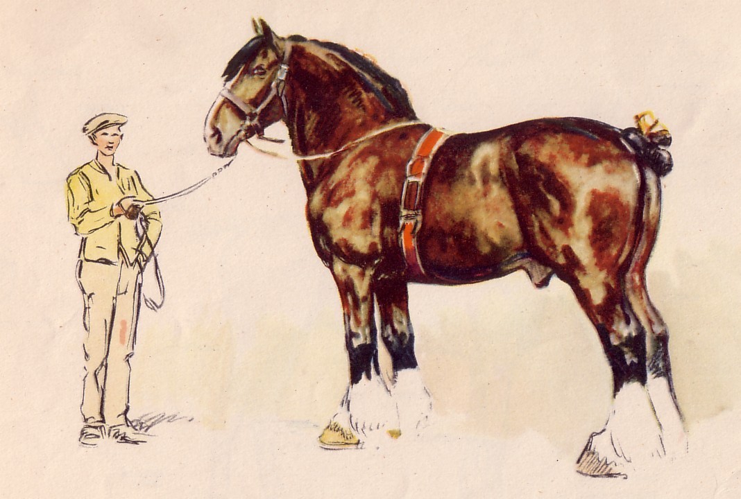 Gurney Journey: The Horses of Lionel Edwards