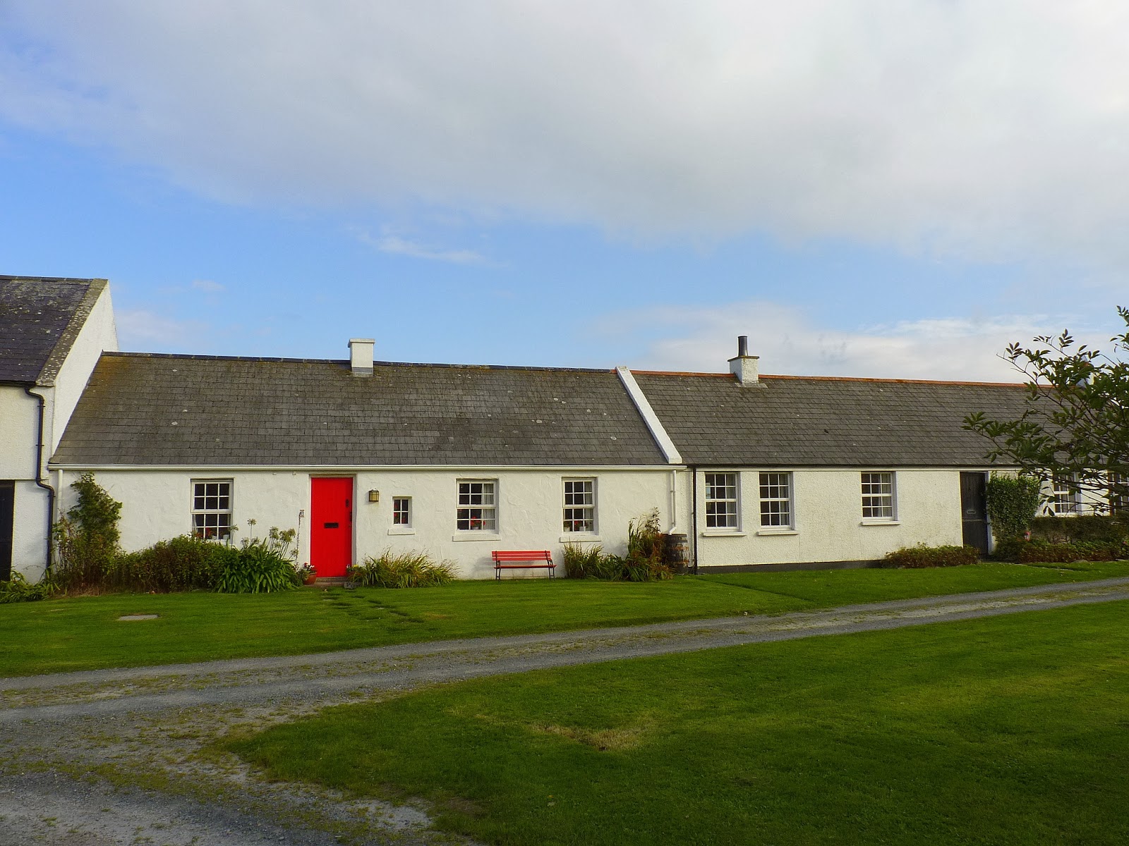 Birding For Pleasure: Kearney and Ballyquintin Farm Discovered.