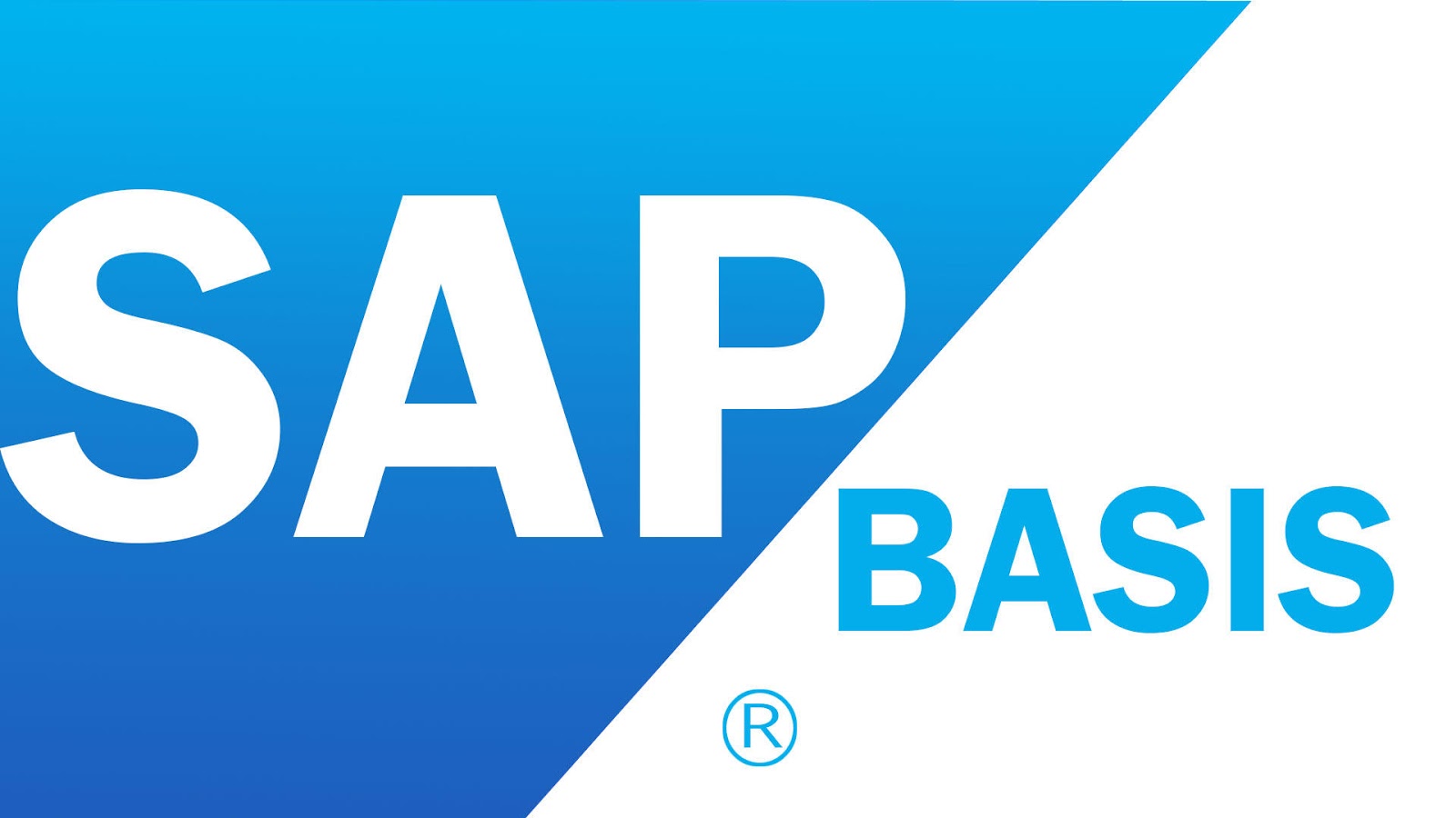 Bienvenidos al mundo SAP Basis