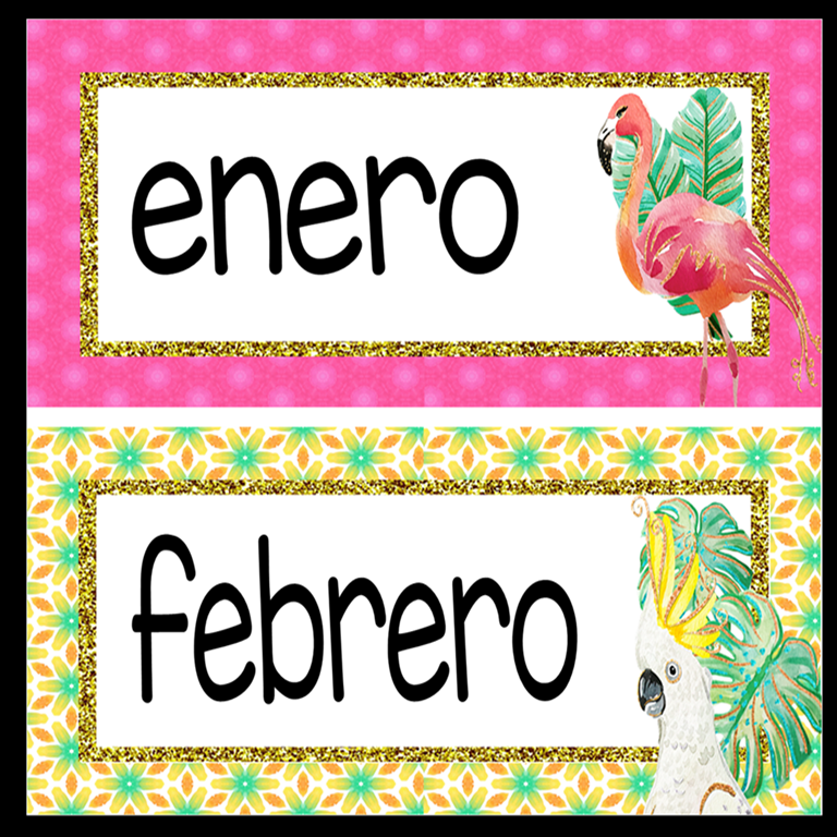 Discover Amazing Classroom Decor In Spanish to Try this School Year ...