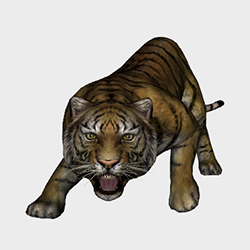 TS3 - Daislia - Two Tigers Set ~ Noir and Dark Sims