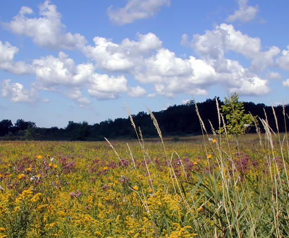 Walker's from the Farm Treats: Michigan's Prairie Farm - Agriculturists ...