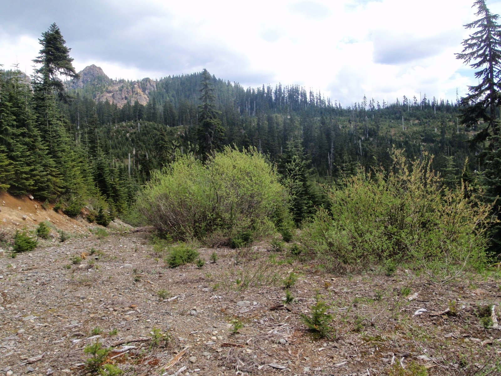 Ranger Vick: New season, new ranger district