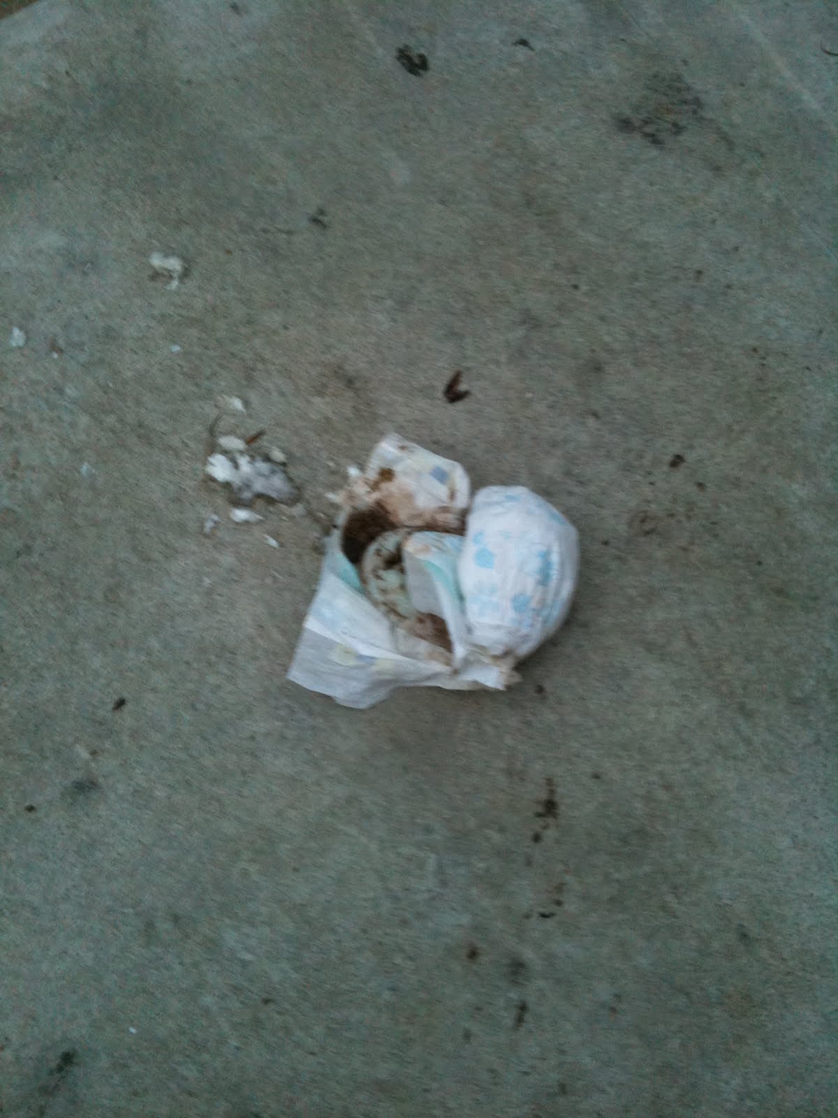 Singapore Community Cats: A soiled diaper at the back of a block of HDB ...