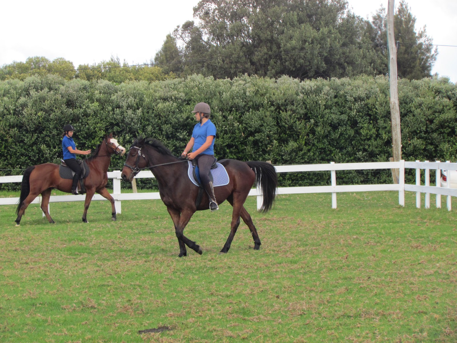 Norfolk Island Pony Club & Equestrian Association: Pony Club Rally Day ...
