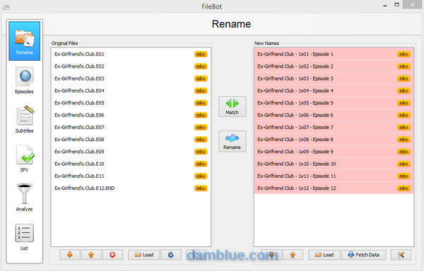 Fix single file filebot - forlesskiza