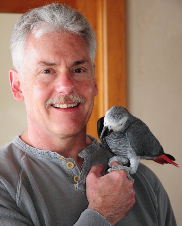 El Hurgador [Arte en la Red]: Daniel Smith [Pintura]