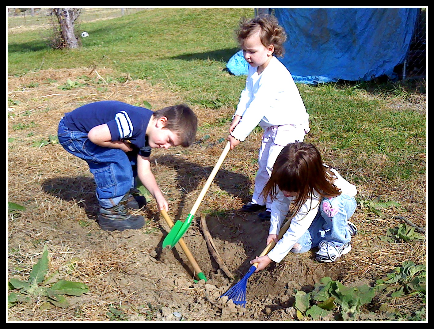 The Walnut Acre Chronicles: Preschool Fun - Week in Review 11/14 - 18