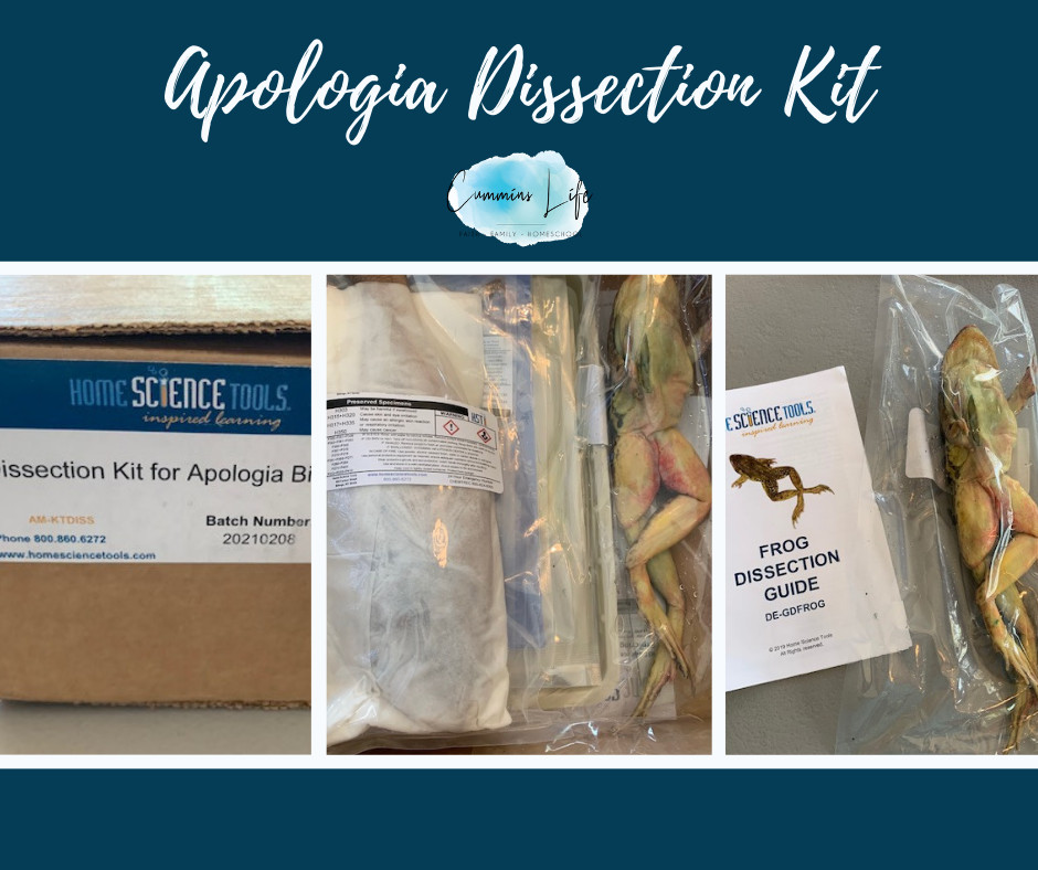 Cummins Life: Dissection Kit for Exploring Creation with Biology Review ...