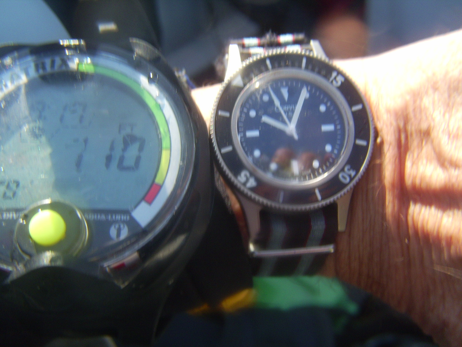 Corvus Watch Company