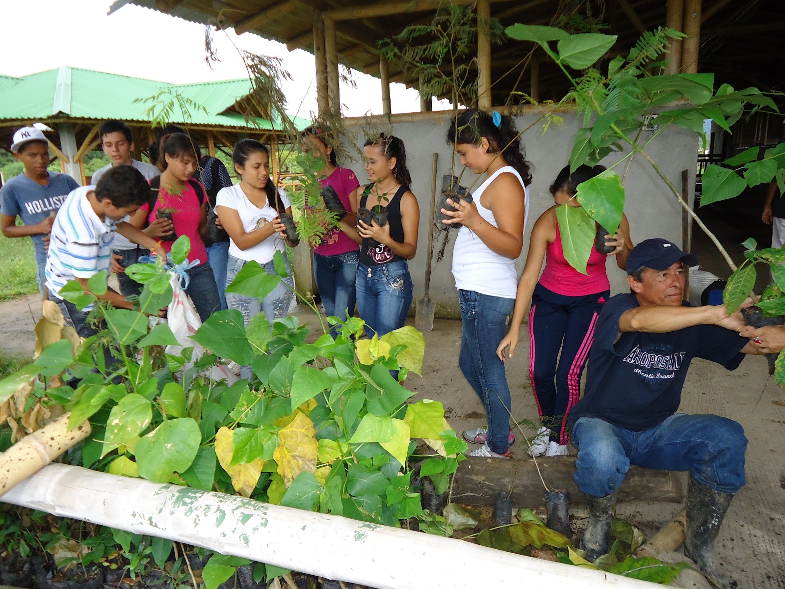 PROYECTO AMBIENTAL ESCOLAR ABC