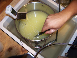 Iron Oak Farm: Goats Milk Cheddar, Our first Hard Cheese