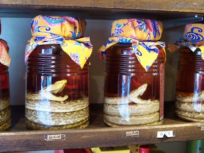 Welcome to Zika Bobby Blog: Japanese Snake Wine: Habu Sake