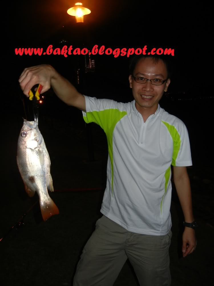 Eging and Surfcast Fishing At Labrador Park