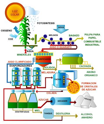 Elaboración de Azucar