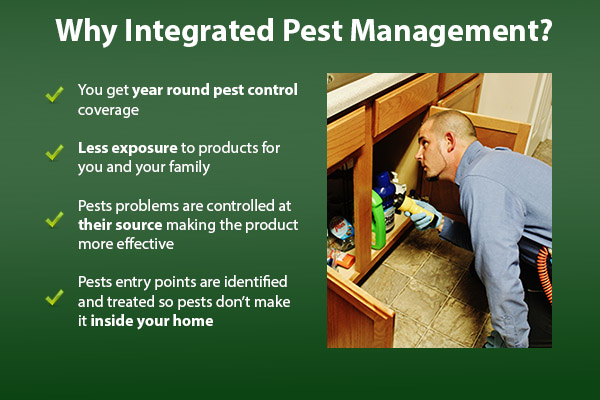 Quality Pest control L.L.C - UAE: Integrated Pest Management