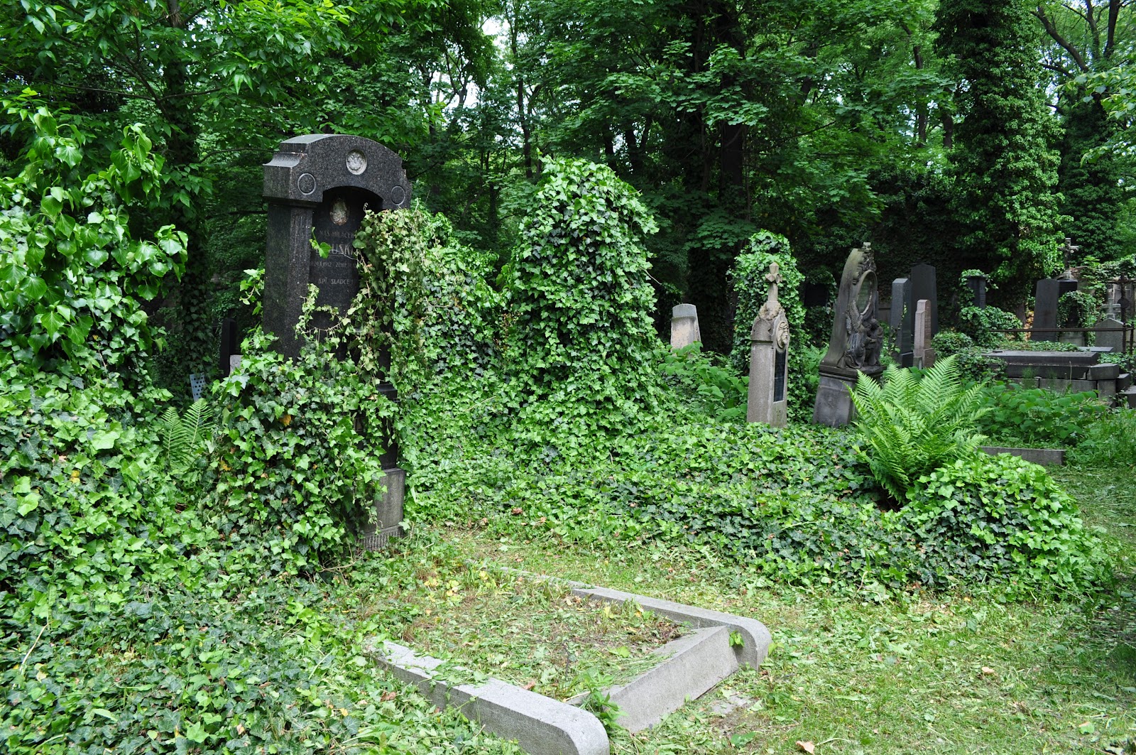 Elephants and Hot Air Balloons: Olšanské hřbitovy (Olšany Cemetery)