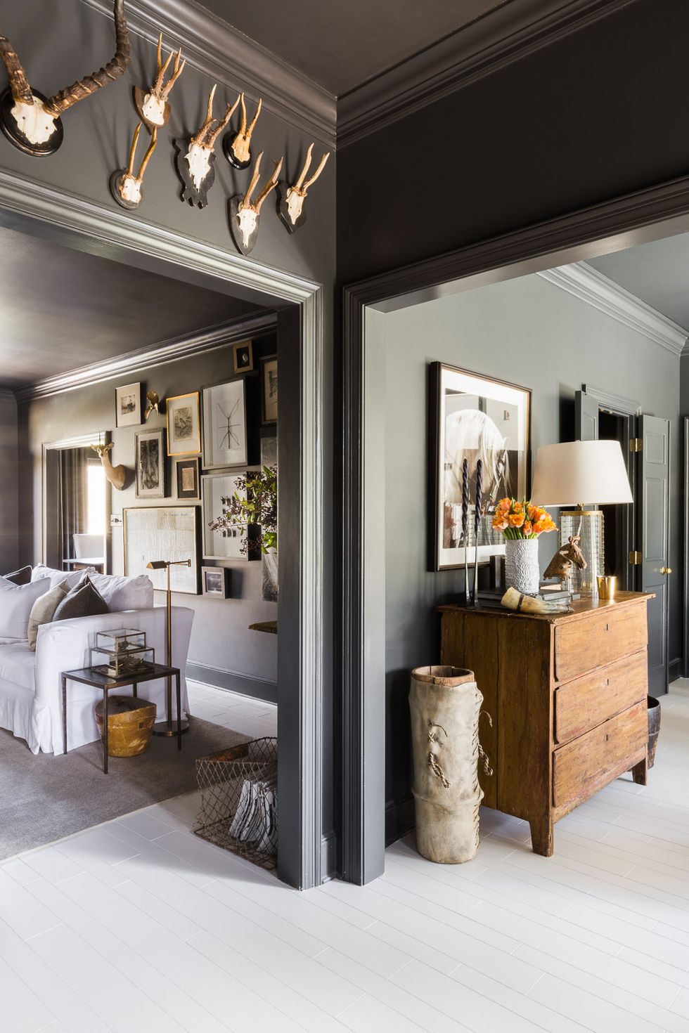 Color Outside the Lines: Sean Anderson Design Before and After