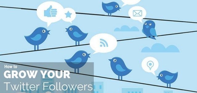 Mike Schiemer Marketing: How To Grow Your Twitter Followers Fast And ...