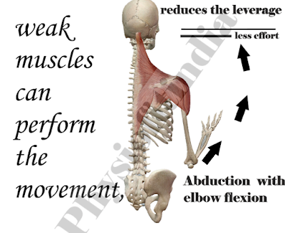 How Levers system work in Physiotherapy
