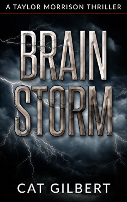 The Blog of B.M. Perrin: Book Review: Brain Storm (A Taylor Morrison ...
