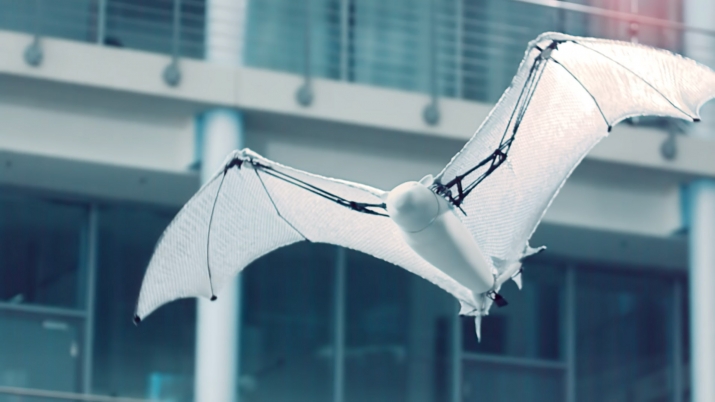 BIONIC FLYING FOX, UN RAP PENAT VOLADOR ULTRALLEUGER (VIDEO) | COLLONADES